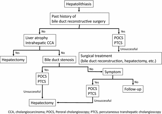 Evidence-based clinical practice guidelines for cholelithiasis 2016 ...