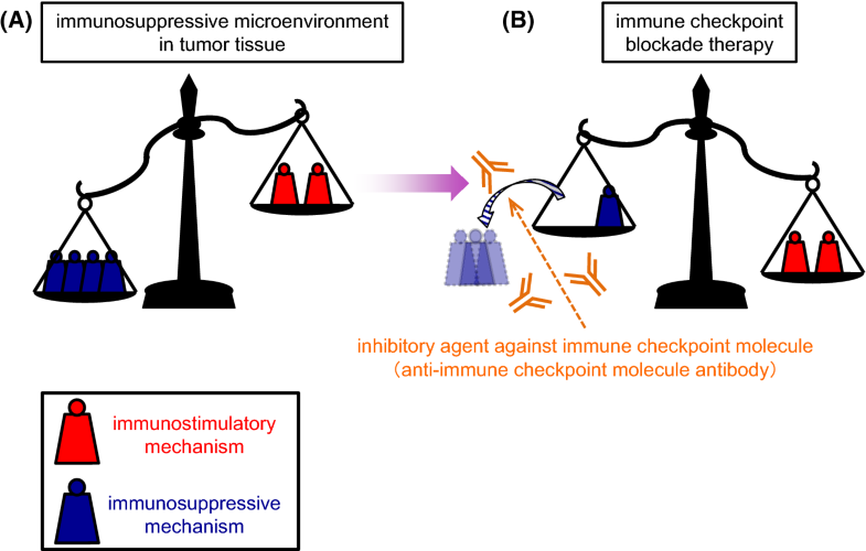 Microbial biomarkers for immune checkpoint blockade therapy against ...
