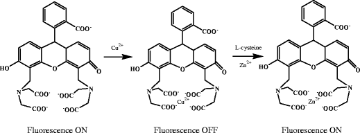 Determination of L-cysteine base on the reversion of fluorescence ...