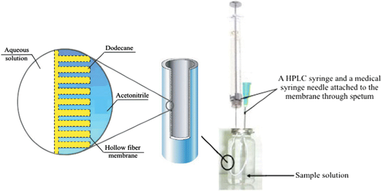 Developments in hollow fiber based liquid-phase microextraction ...