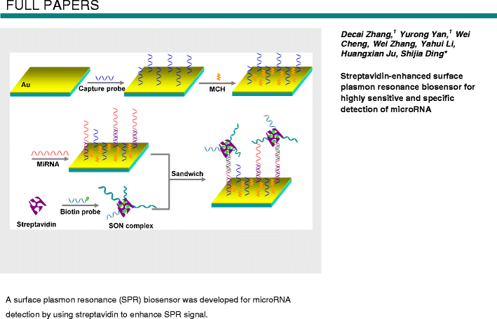 Streptavidin-enhanced surface plasmon resonance biosensor for highly ...