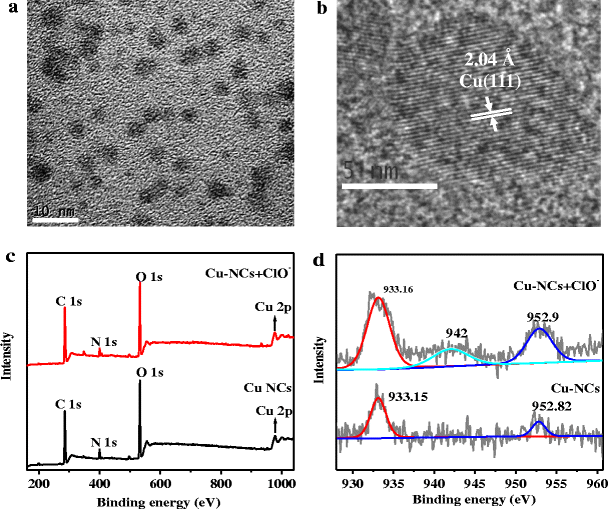 Copper nanocluster-based fluorescent probe for hypochlorite | SpringerLink