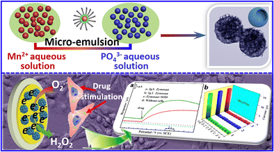 Controlled synthesis of Mn3(PO4)2 hollow spheres as biomimetic enzymes ...