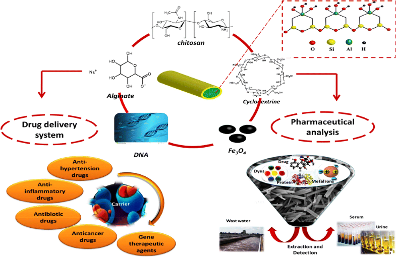 Halloysite nanotubes in analytical sciences and in drug delivery: A ...
