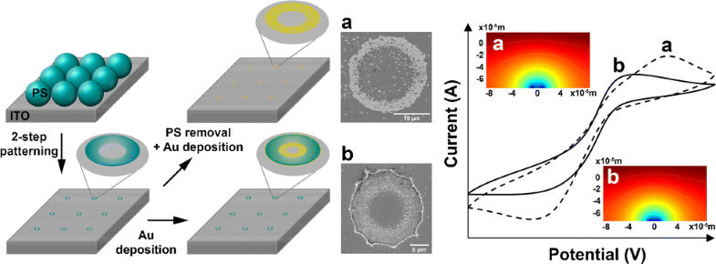 A gold coated polystyrene ring microarray formed by two-step patterning ...