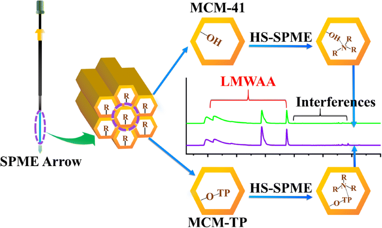 Selective extraction of aliphatic amines by functionalized mesoporous ...