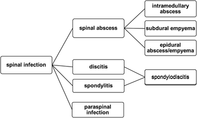 Management of spinal infection: a review of the literature | SpringerLink