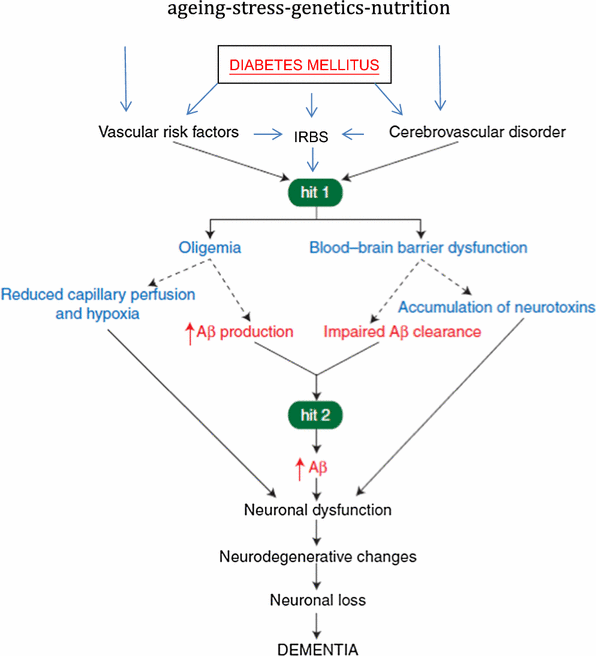 The diabetic brain and cognition | SpringerLink