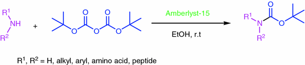 An efficient and highly chemoselective N-Boc protection of amines ...