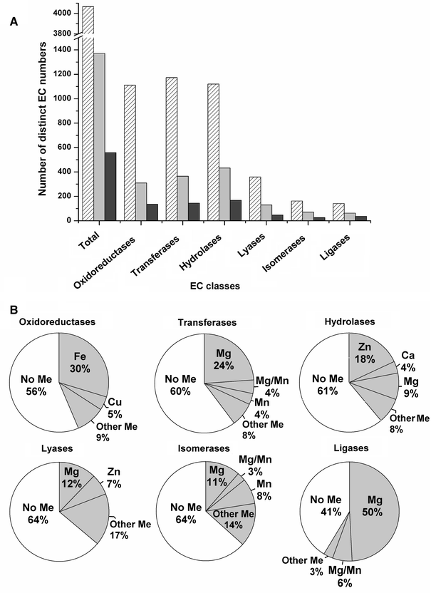 Metal ions in biological catalysis: from enzyme databases to general ...