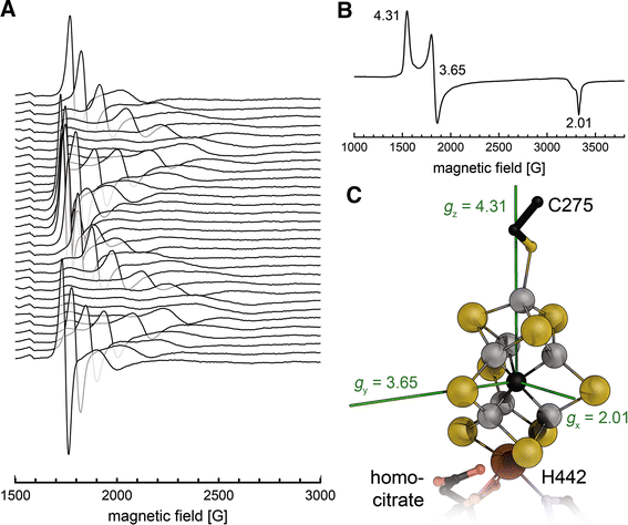 Nitrogenase FeMo cofactor: an atomic structure in three simple steps ...