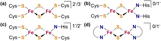 Oxidized and reduced [2Fe–2S] clusters from an iron(I) synthon ...