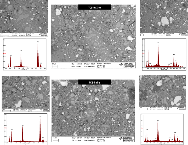 Development of novel tricalcium silicate-based endodontic cements with ...