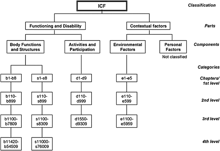 Development of ICF Core Sets to standardize assessment of functioning ...