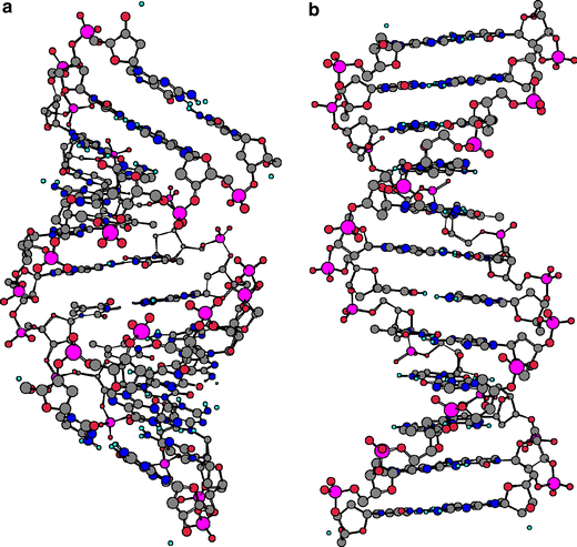 The effect of salt concentration on DNA conformation transition: a ...
