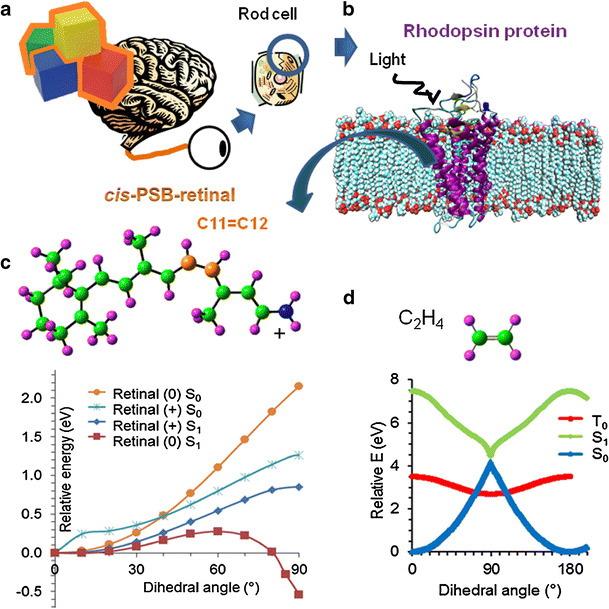 Light activation of the isomerization and deprotonation of the ...
