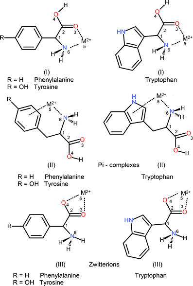 Effect of metal Ions (Ni2+, Cu2+ and Zn2+) and water coordination on ...