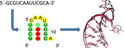 De novo tertiary structure prediction using RNA123—benchmarking and ...