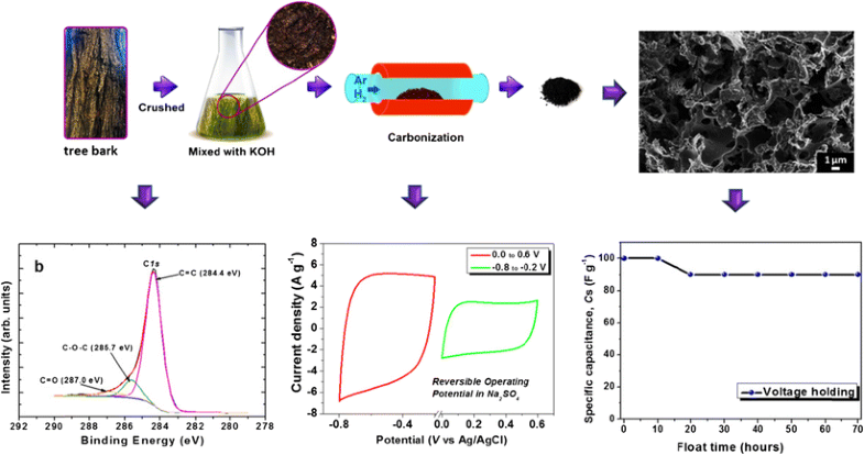 Activated carbon derived from tree bark biomass with promising material ...