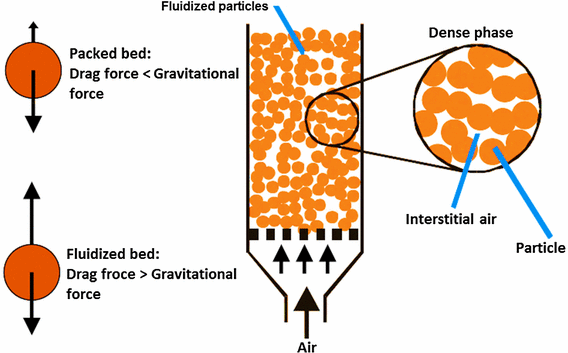 PIV investigations on particle velocity distribution in uniform ...