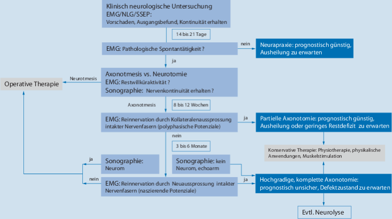 Traumatische Nervenläsionen | SpringerLink