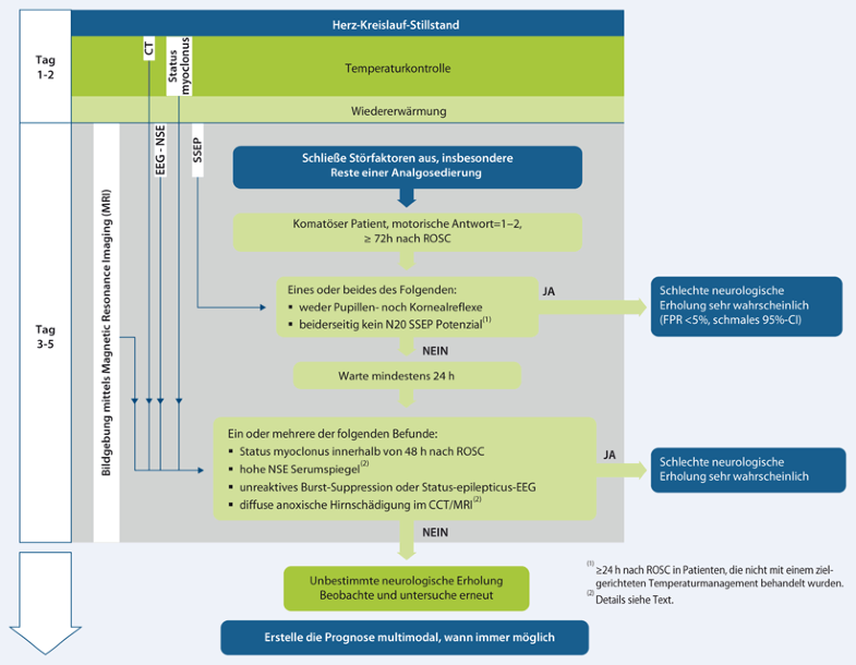 Postreanimationsbehandlung | SpringerLink