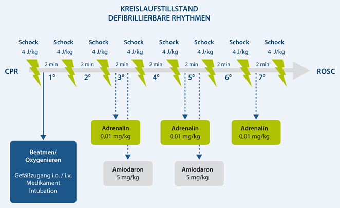 Kurzdarstellung | SpringerLink