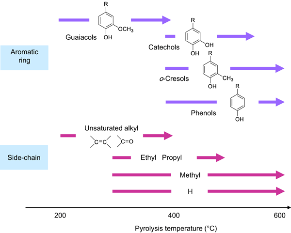Lignin pyrolysis reactions | SpringerLink