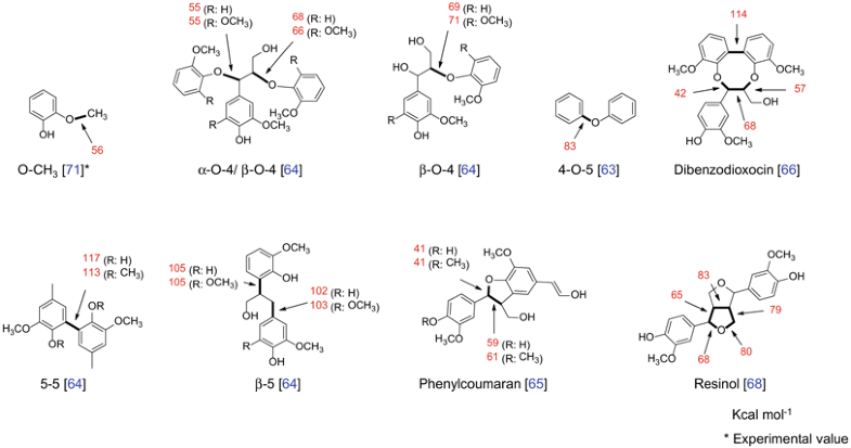 Lignin pyrolysis reactions | SpringerLink