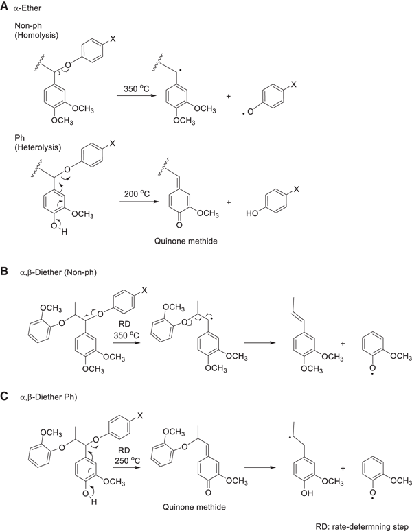 Lignin pyrolysis reactions | SpringerLink