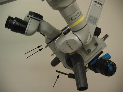 Transoral laser microsurgery for laryngeal cancer: A primer and review ...