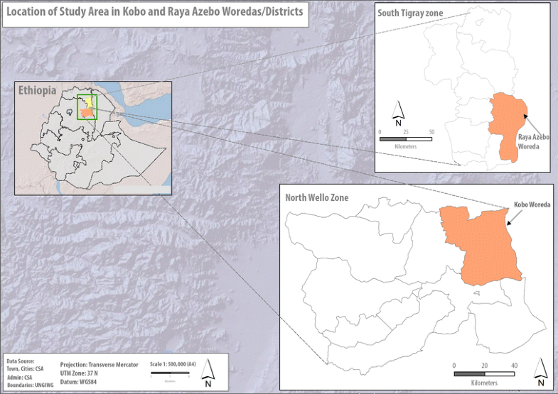A gender approach to understanding the differentiated impact of ...