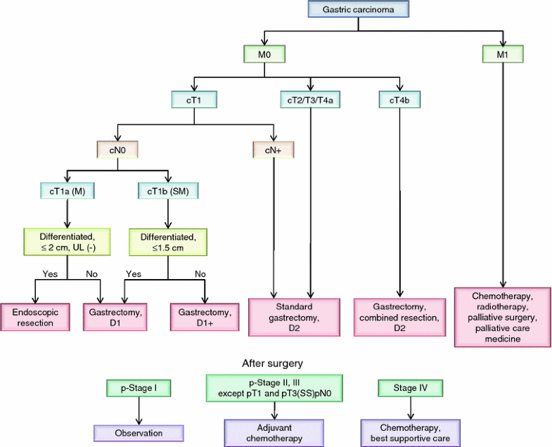 Japanese gastric cancer treatment guidelines 2010 (ver. 3) | SpringerLink