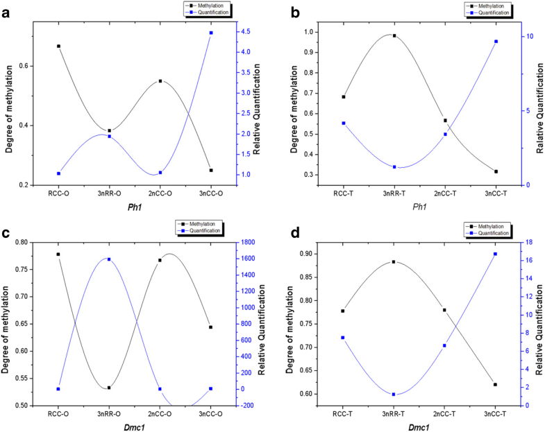 Analysis on the Meiosis-Related Gene (Dmc1, Ph1) Expression in ...