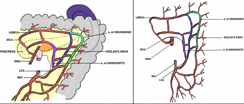 Importance of the Moskowitz artery in the laparoscopic medial approach ...