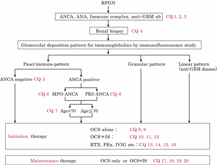 Evidence-based clinical practice guidelines for rapidly progressive ...