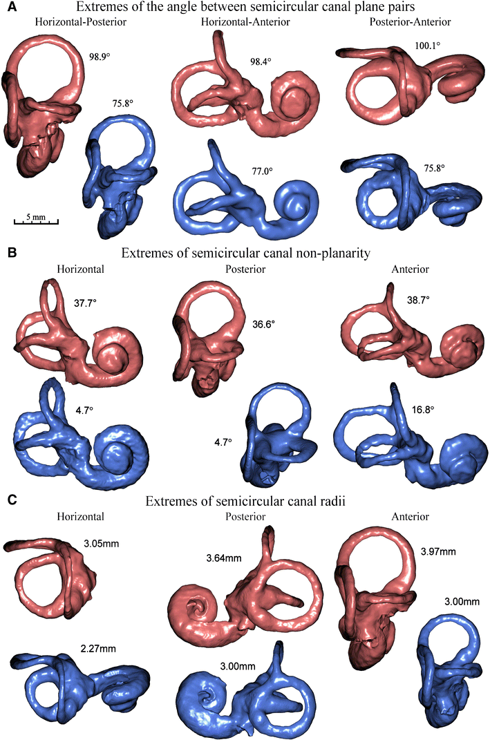 A Mathematical Model of Human Semicircular Canal Geometry: A New Basis ...