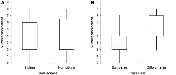 Cannibalistic siblicide in praying mantis nymphs ( Miomantis caffra ...
