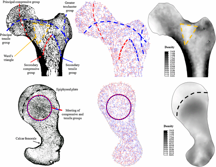 Consideration of multiple load cases is critical in modelling ...