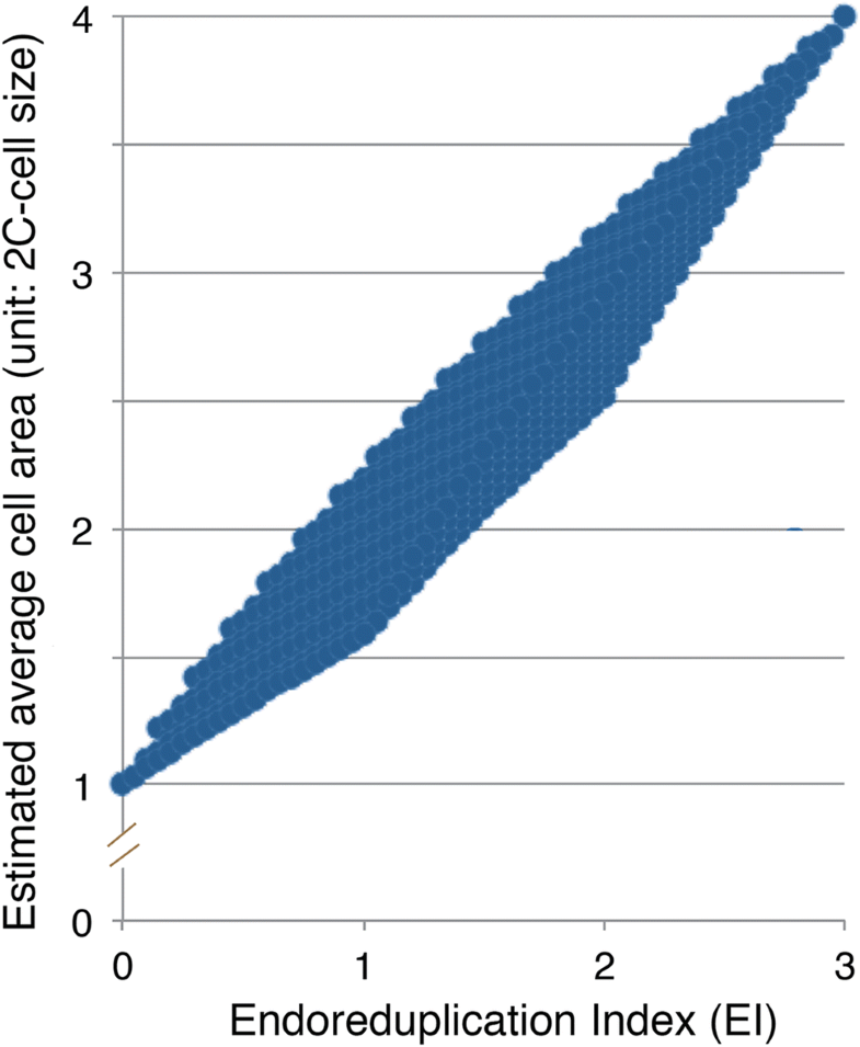 Re-examination of the role of endoreduplication on cell-size control in ...