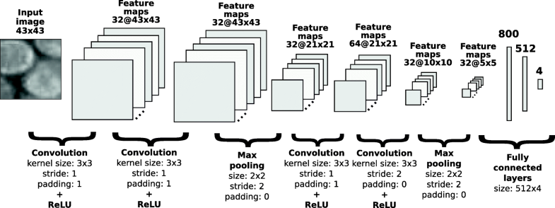 Cell Nuclei Segmentation in Cytological Images Using Convolutional ...