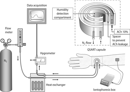 Sweat testing to evaluate autonomic function | SpringerLink