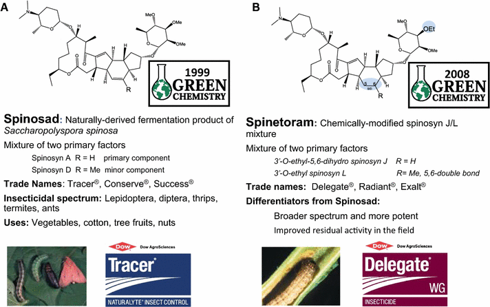 Natural product derived insecticides: discovery and development of ...