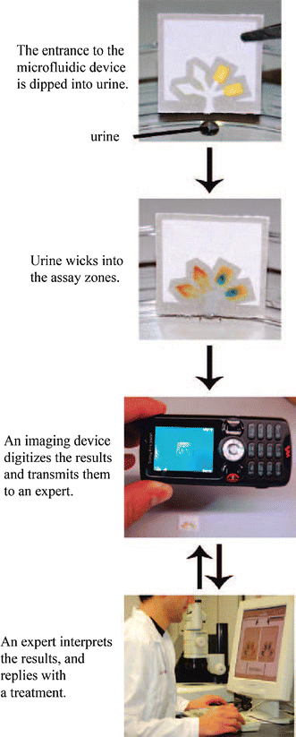 Microfluidic Paper-Based Analytical Devices (μPADs) and Micro Total ...