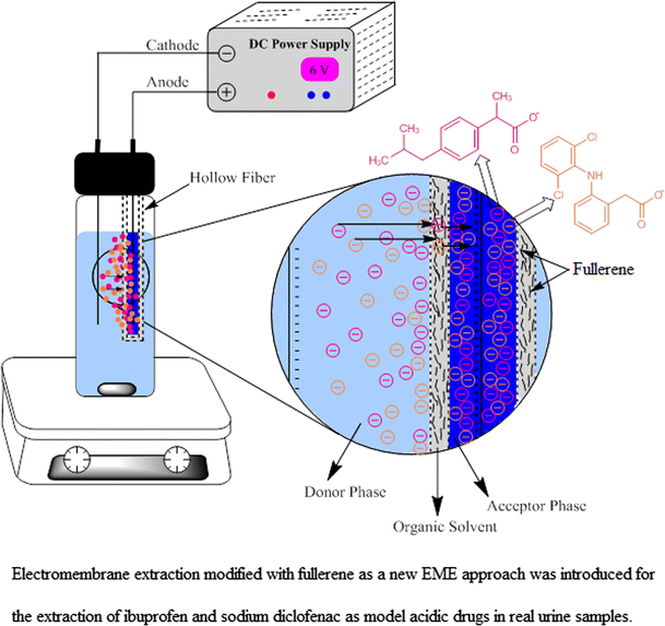 Introduction of Fullerene as a New Carrier in Electromembrane ...