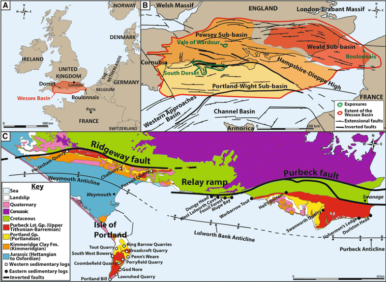 Brackish to hypersaline facies in lacustrine carbonates: Purbeck ...