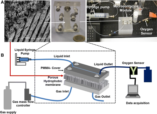 A microgrooved membrane based gas–liquid contactor | SpringerLink
