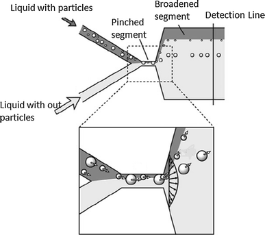 Particle separation and sorting in microfluidic devices: a review ...
