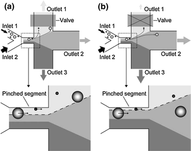 Particle separation and sorting in microfluidic devices: a review ...