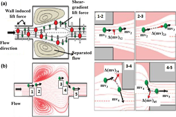 Particle separation and sorting in microfluidic devices: a review ...